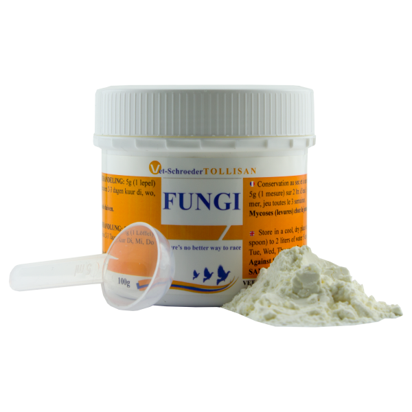 Orni 1 ONE – TOLLISAN