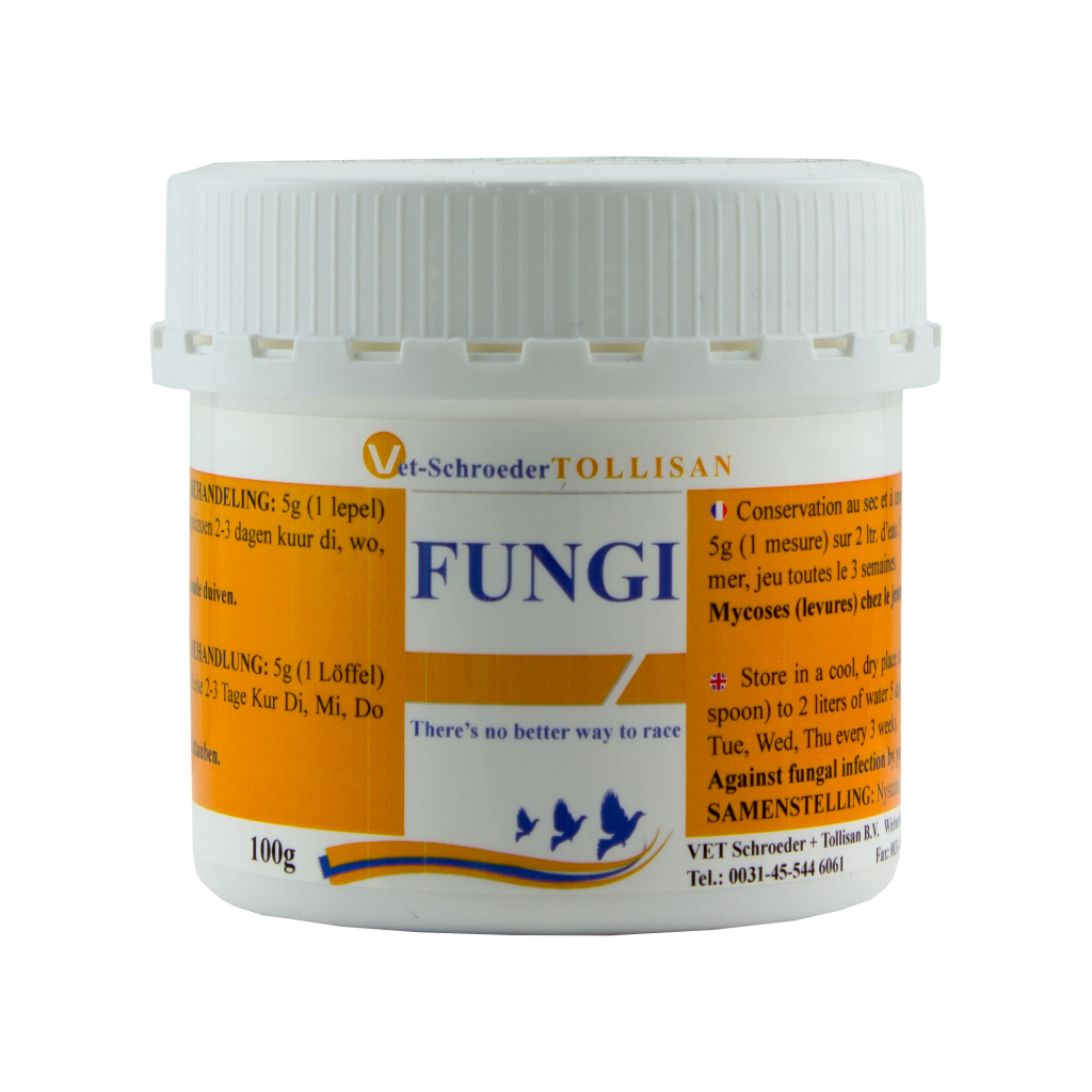 Orni 1 ONE – TOLLISAN