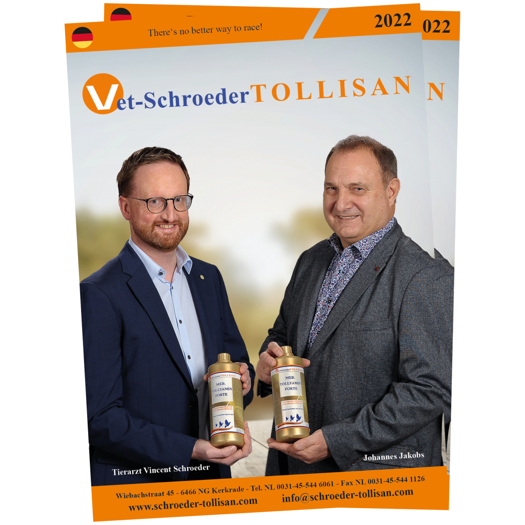 Pigeon catalog – TOLLISAN