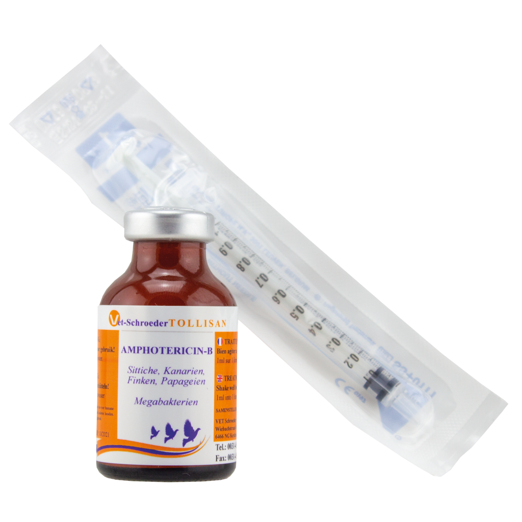 Amphotericin-B – TOLLISAN