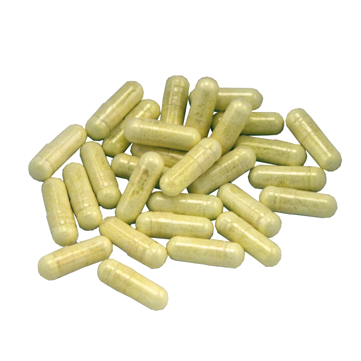 Orni-Chlam Capsules – TOLLISAN