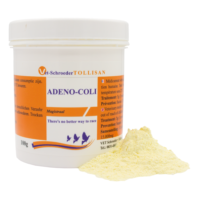 Orni 1 ONE – TOLLISAN