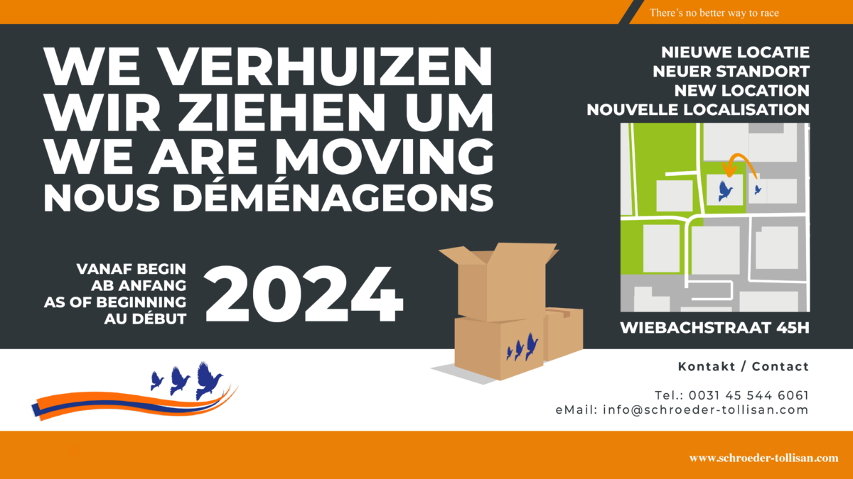 we move – TOLLISAN
